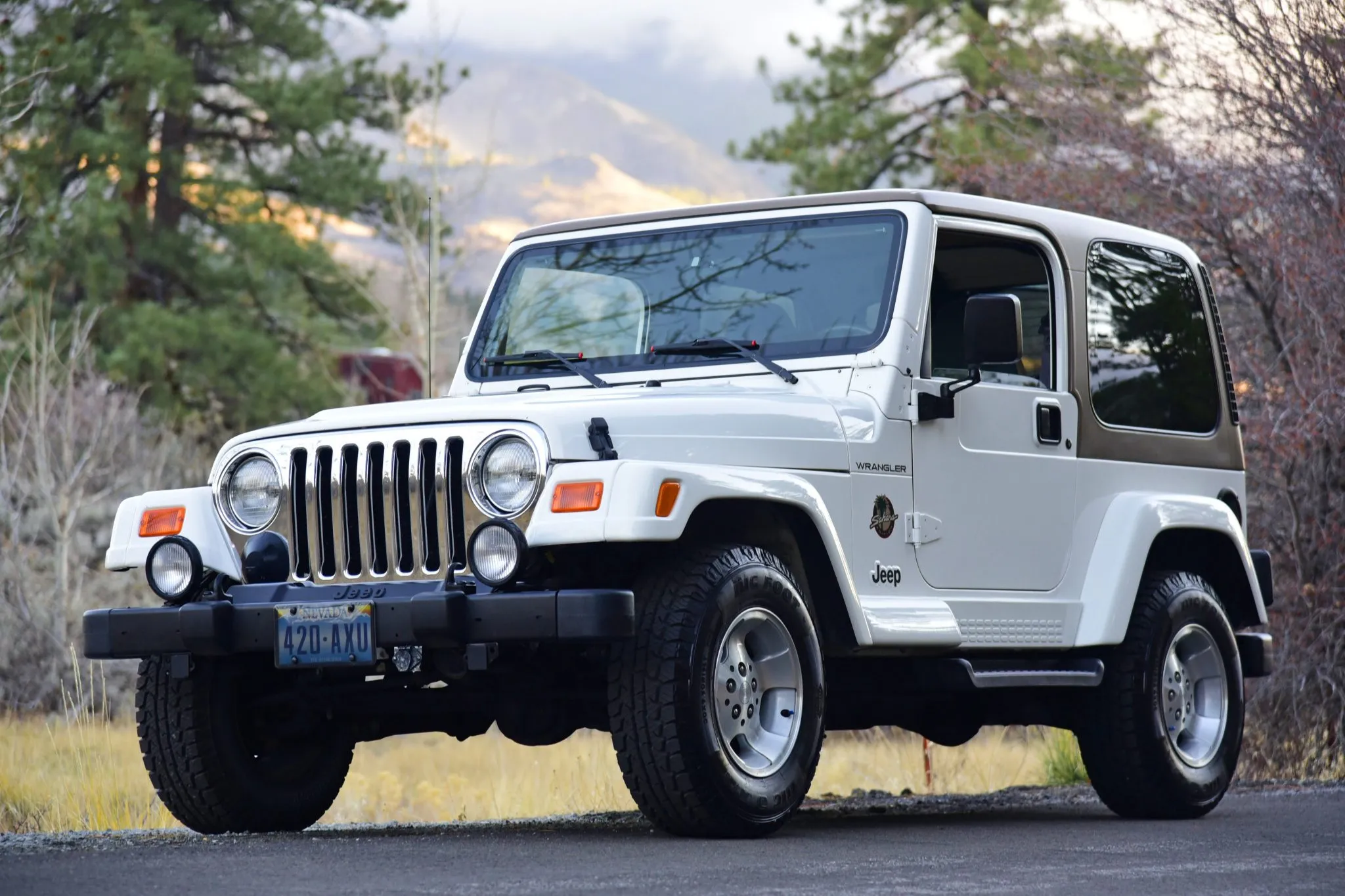 Are 2002 Jeep Wranglers Reliable? Expert Insights and Tips