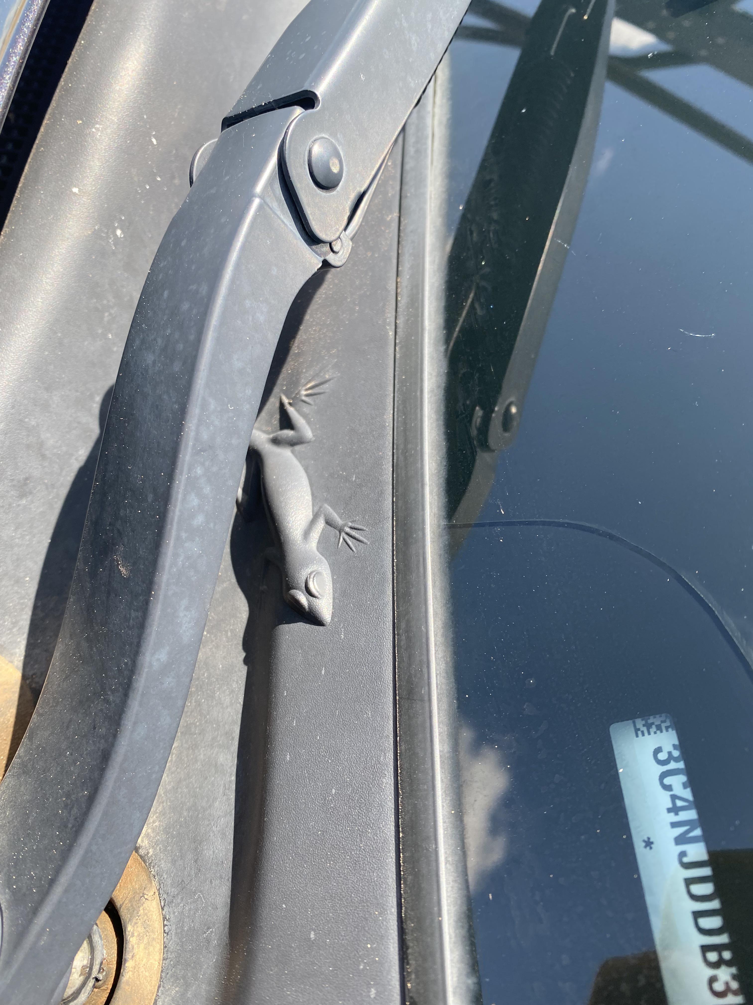 Why Is There A Lizard On Jeep Compass