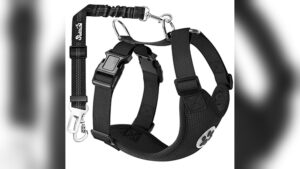 Best Dog Harness For Jeep Wrangler 2026: Top Picks For Safe Rides