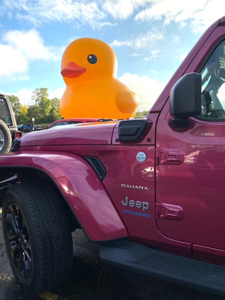 Do Only Jeep Wranglers Get Ducked? Surprising Truth Revealed
