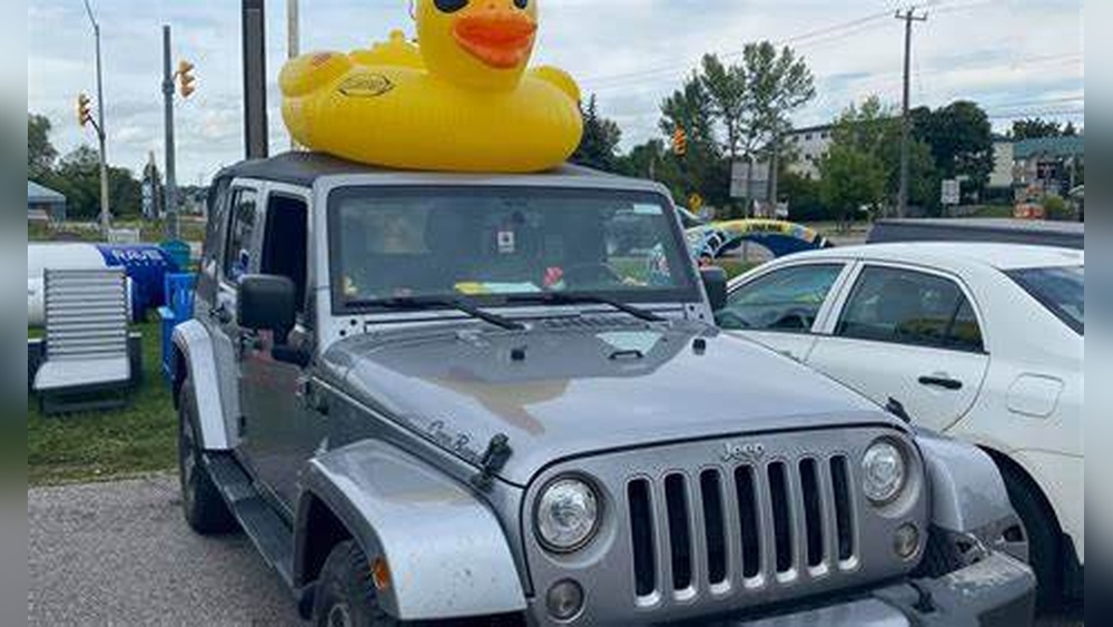 Can A Non Jeep Owner Duck A Jeep? Find Out Now!