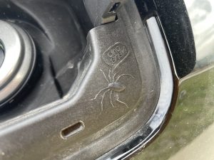 Do Jeep Grand Cherokees Have Hidden Animals? Surprising Facts
