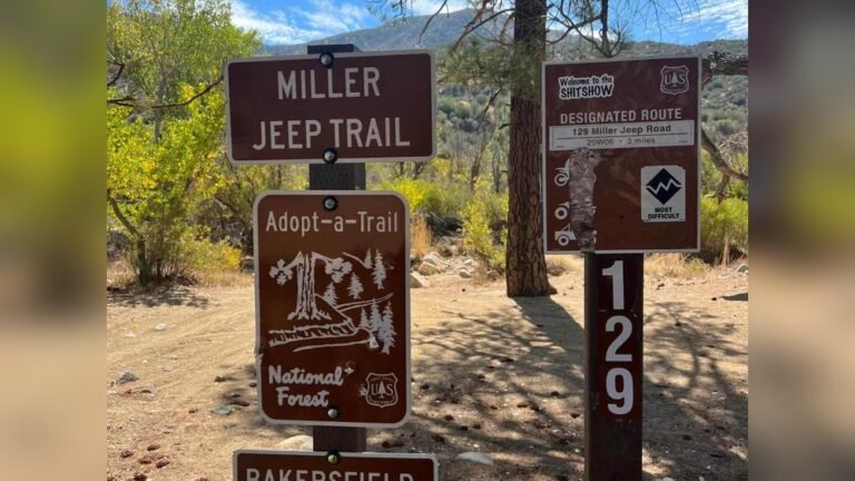 Is Miller Jeep Trail Open? Latest Updates and Trail Conditions