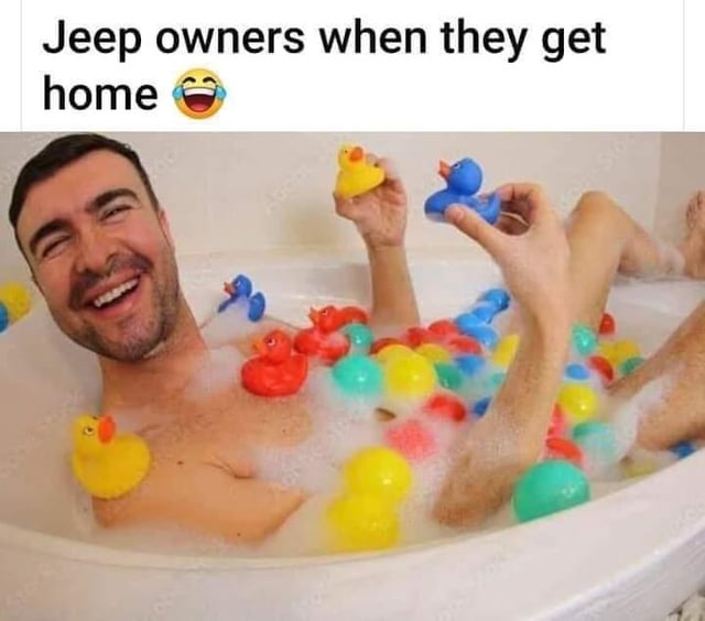 What Is It With Jeep Owners And Ducks? The Surprising Truth
